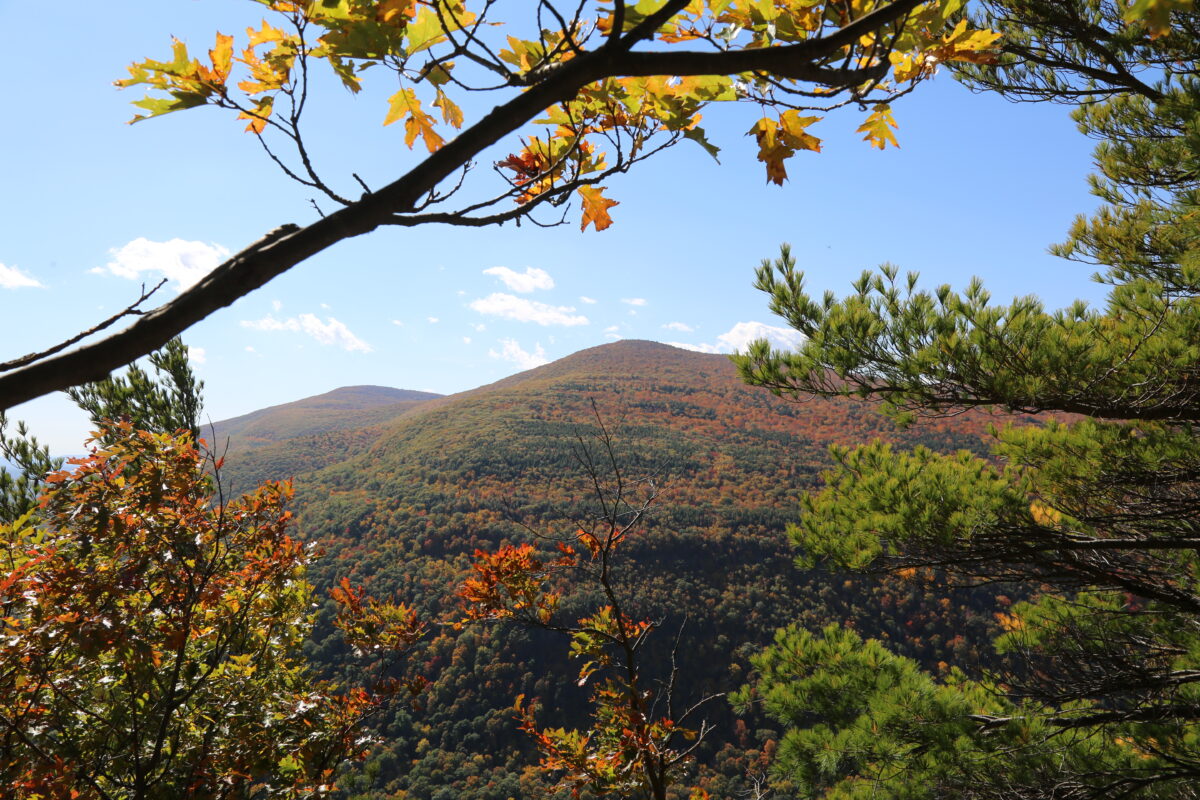 ESCAPE BROOKLYN – Tannersville, NY Travel Guide: Exploring the Painted ...