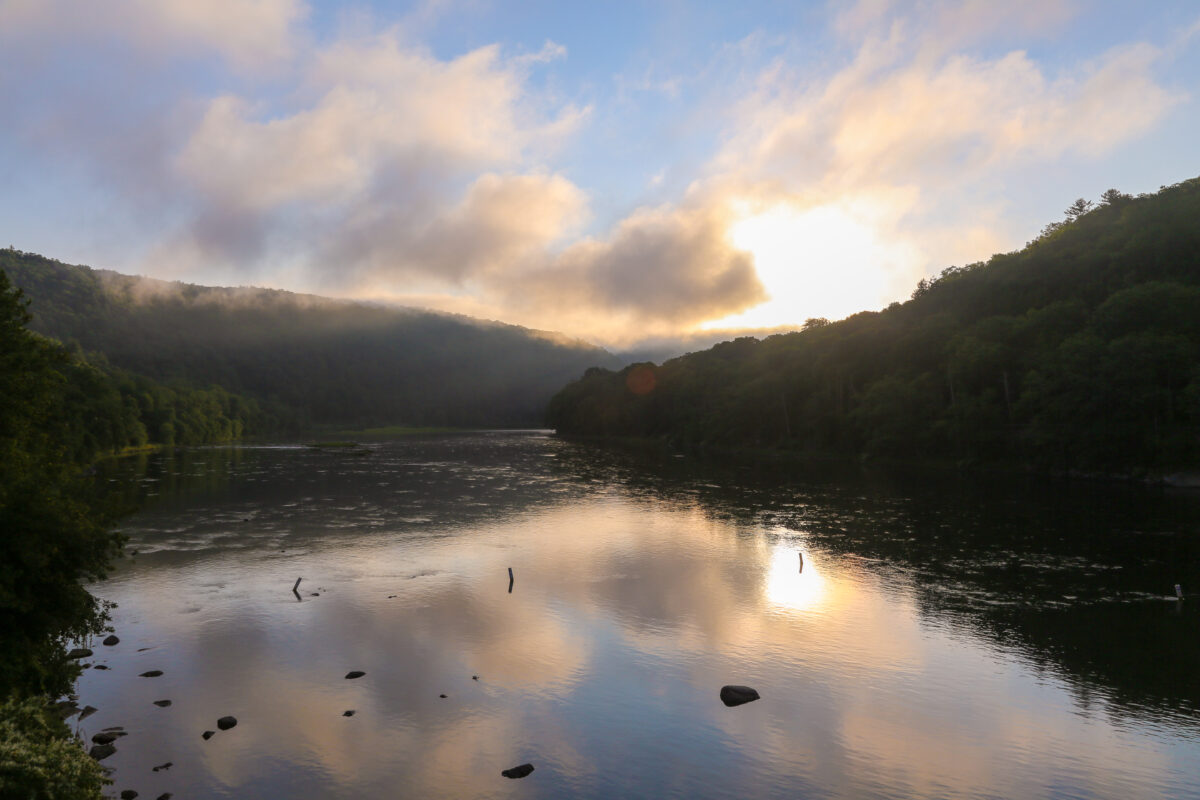 ESCAPE BROOKLYN – Seminary Hill in Callicoon, NY: Orchard, Tasting Room ...