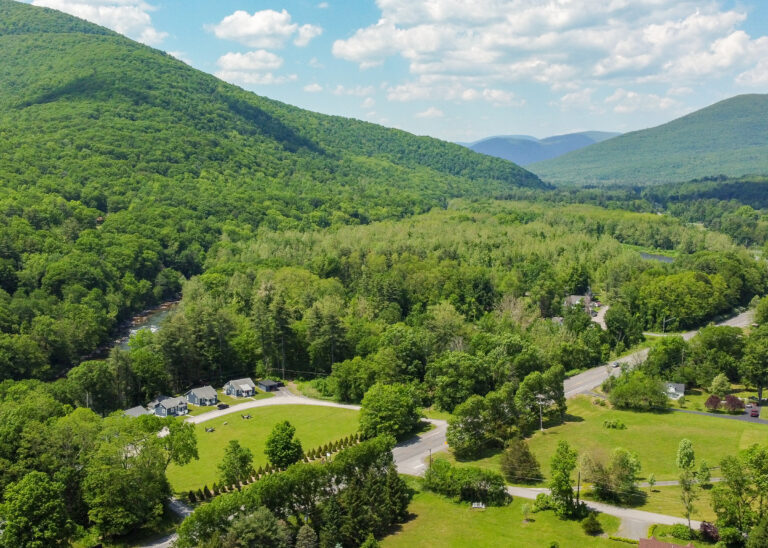 ESCAPE BROOKLYN – Wildcat Mountain Cabin in Claryville, NY