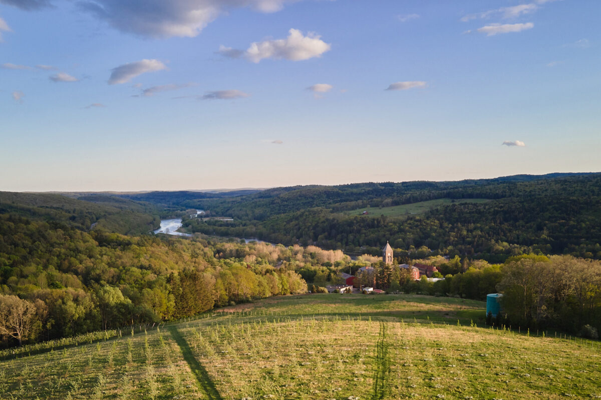 ESCAPE BROOKLYN – A Guide to Callicoon, NY